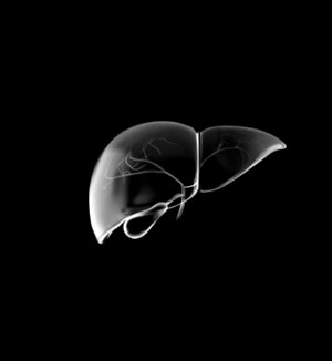 Bayer Liver360